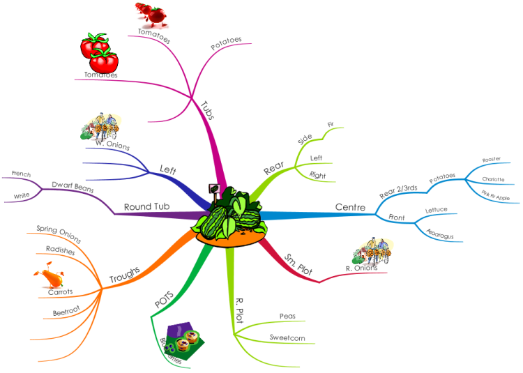 Veggies Mind Map Mind Map Template Map | Images and Photos finder Veggies Mind Map Mind Map Template Map | Images and Photos finder